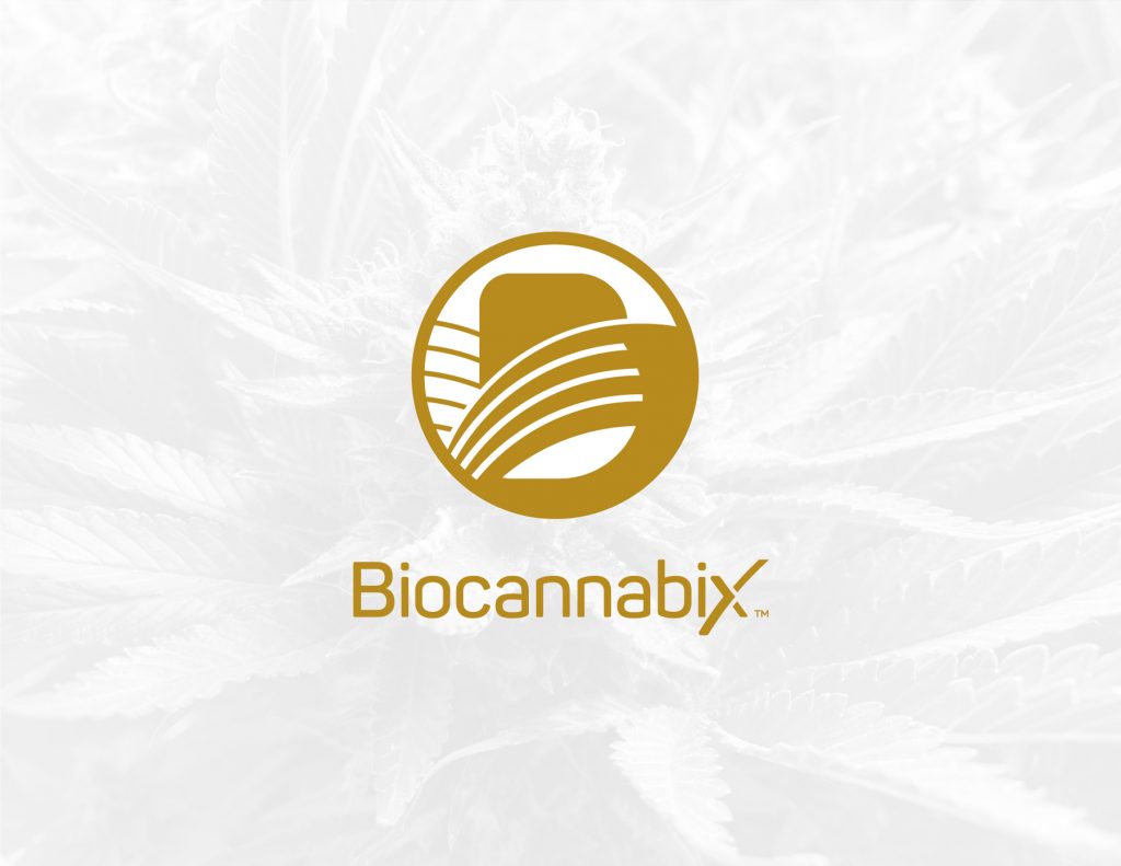 Biocannabix - Branding & Brand Style Guide | Laughton Creatves