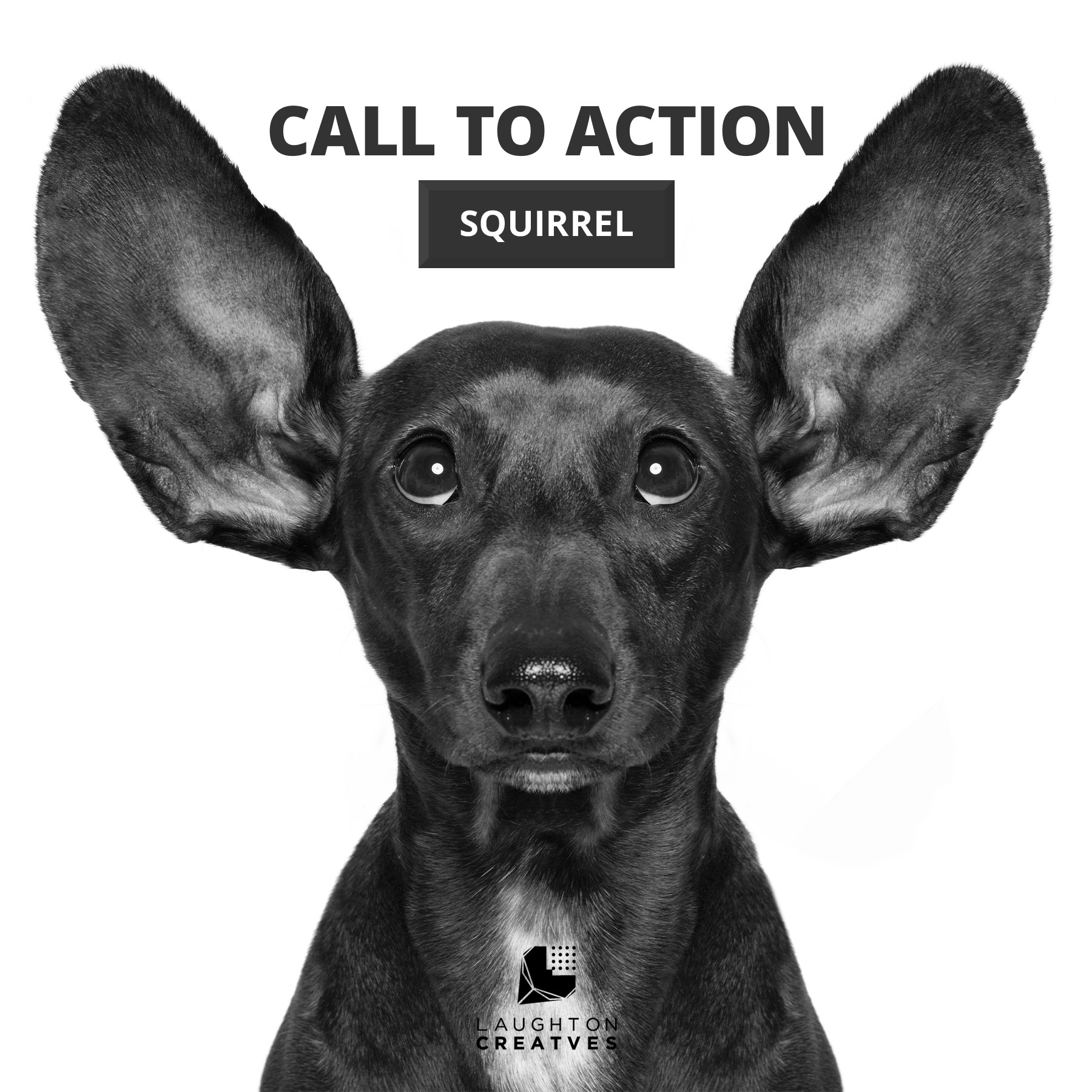 Designer Terms, Lingos, Slang: A Non-Designer's Guide